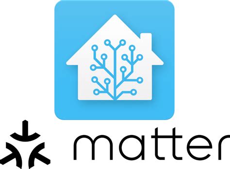 integrating matter into home assistant iot assistant