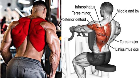 6 Best Exercises To Build Massive Back Fitness Freak