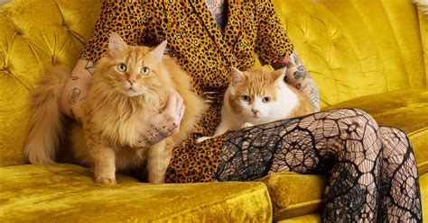 Girls And Their Cats Photos Of Cool Women And Their Pets