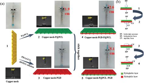A Construction And Characterization Of The Proposed Janus Membrane On Download Scientific