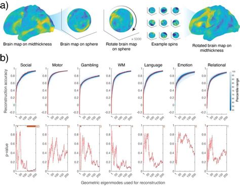 Using Surface Based Geometric Eigenmodes To Explain Randomized 170