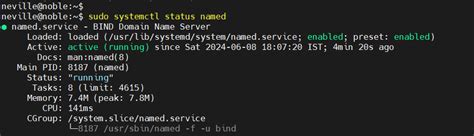 How To Setup Bind Server On Ubuntu 2404