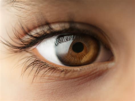 High Cholesterol Signs These Signs In Eyes Can Tell If You Have Hypercholesterolaemia