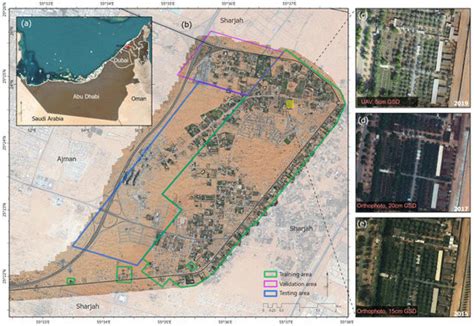 Large Scale Date Palm Tree Segmentation From Multiscale Uav Based And Aerial Images Using Deep