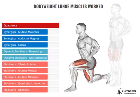The Ultimate Guide To Bodyweight Lunge Benefits And Tips