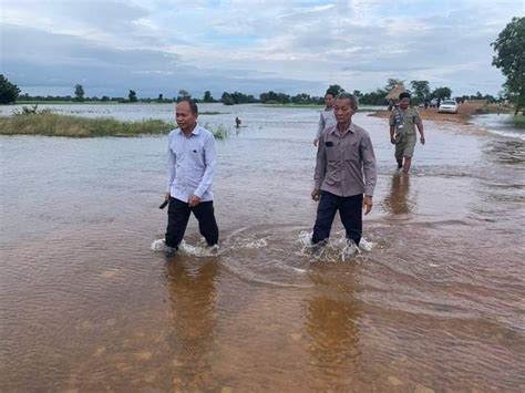 ជំនន់ទឹកភ្លៀងអាចនឹងធ្វើឲ្យដំឡូងមីរាប់ពាន់ហិកតាក្នុងស្រុកវ៉ារិននិងស្រុកស្រីស្នំខេត្តសៀមរាបរងការខូ