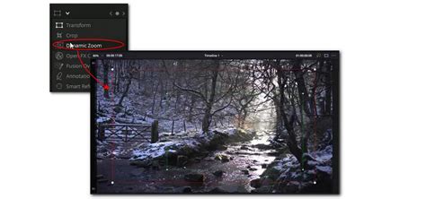Beginners Guide How To Crop Video In Davinci Resolve