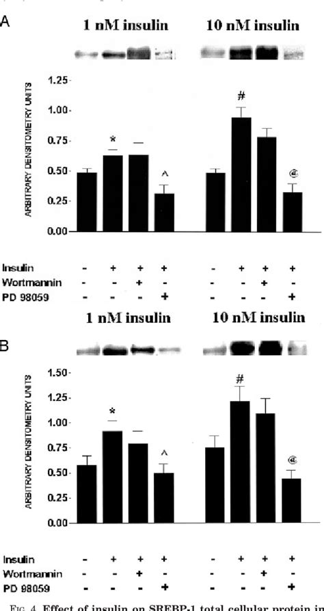 Figure 4 From Insulin Regulation Of Sterol Regulatory Element Binding Protein 1 Expression In L