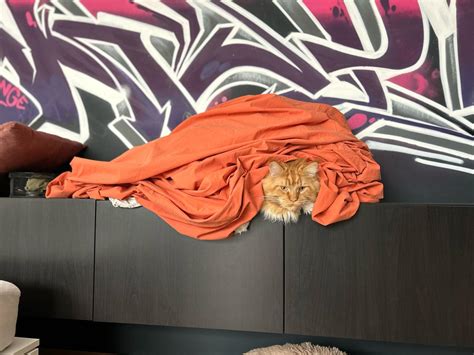 Dobby 58 By Genesect1999 On Deviantart