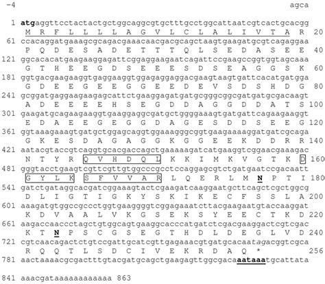 Nucleotide Sequence And Deduced Amino Acid Sequence Of The Cdna Clone Download Scientific