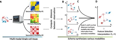 Integration Of Simultaneously Assayed Modalities Using Schema A Schema Download Scientific