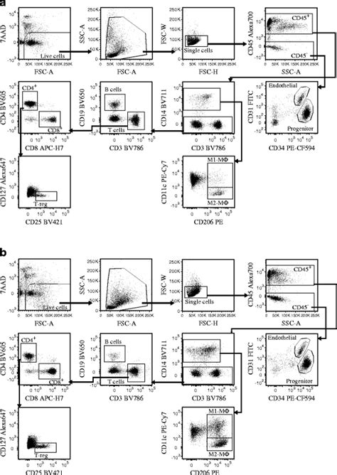 Facs Sorting Protocol For Wat Svf Gating For Representative Samples Of Download Scientific