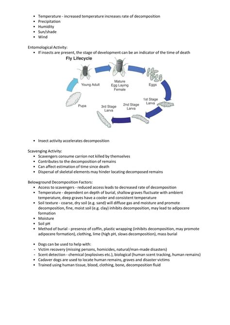 Principles Of Forensic Science Notes 65242 Principles Of Forensic Science Uts Thinkswap
