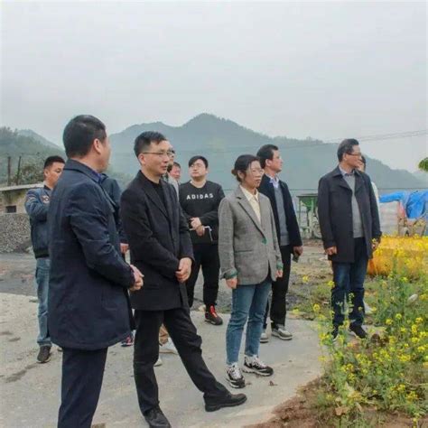 出良策支实招市农业农村局领导调研我区高标准农田建设工作 潜川镇 临安 调研