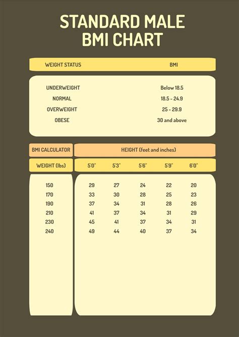 Standard Male Bmi Chart In Pdf Illustrator Download