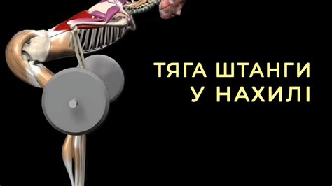 Тяга штанги в нахилі анатомія техніка та типові помилки Youtube