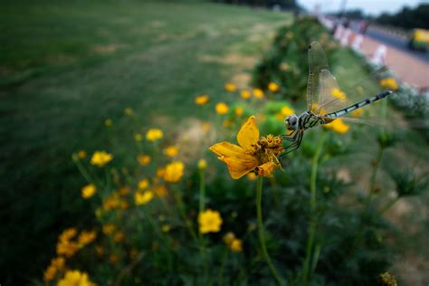 5 Reasons Why the Canon 10-18mm is a Must-Have Wide-Angle Lens
