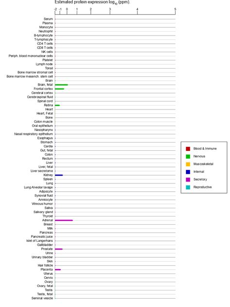 Bmpr2 Gene Genecards Bmpr2 Protein Bmpr2 Antibody