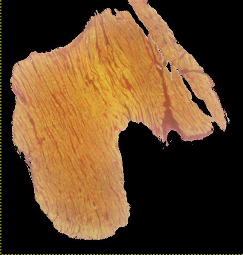 Python Threshold Method To Detect Dynamically Red From Orange Stack Overflow