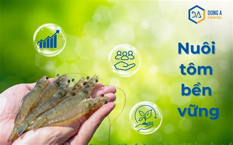 Nuôi Tôm Bền Vững Hướng đi Cho Tương Lai Ngành Thủy Sản Việt Nam