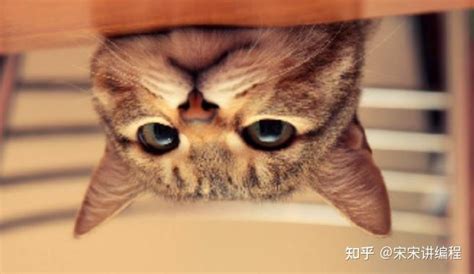 Python数据分析必备库 Numpy Ndarray的基本操作 知乎