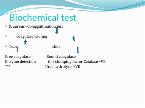 Staphylococcusintroduction History Morphology Ppt