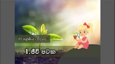 11 ශ්‍රේණිය විද්‍යාව 1 ඒකකය ජීවී පටක Youtube