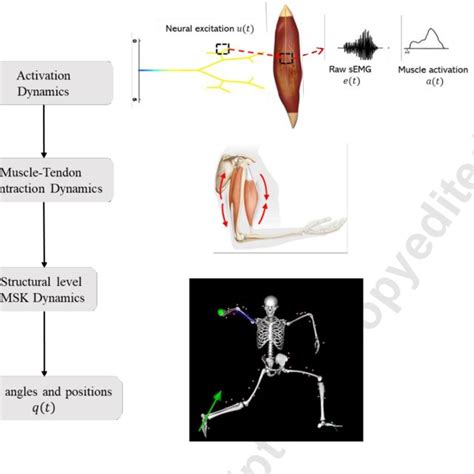 The Flowchart Depicts The Interaction Of The Different Subsystems