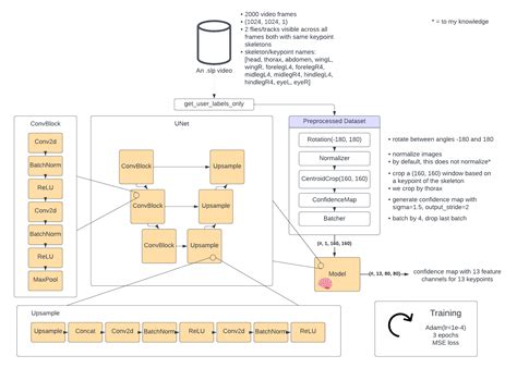 tensorflow to pytorch for sleap is it worth it torch vs tf talmo