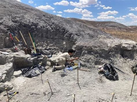 Funky Worm Fossil Helps Explain The Mysterious Origins Of Amphibians