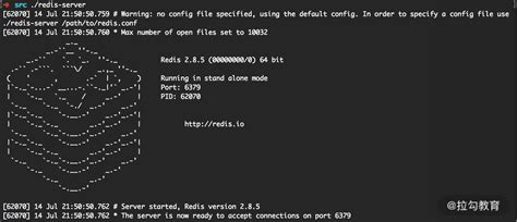 Flink系列 第27讲：flink Redi Sink 实现 知识铺的博客