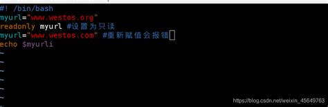 Shell中定义和使用、修改、删除、及设置只读变量花括号的使用单双引号的区别decalre声明变量单反引号 Csdn博客