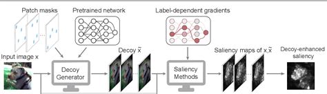 Figure 1 From Robust Saliency Maps With Decoy Enhanced Saliency Score Semantic Scholar