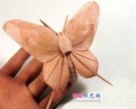 Nguyen Hung Cuong折纸蝴蝶的方法 动物折纸 折纸教程一 晒宝手工晒晒纸艺网