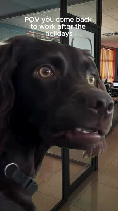 Devologyx On Linkedin Devologyx Dftcommunity Developfurthertogether Softwaredevelopment