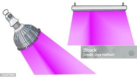 식물을위한 식물 램프 세트 Led 적외선 및 자외선이 있는 램프 벡터 스톡 일러스트레이션입니다 꽃을 재배하기위한 전체 스펙트럼을