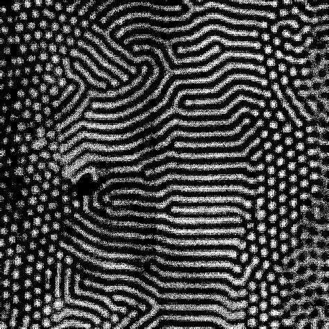 Pdf Reaction Diffusion Patterns In Confined Chemical Systems