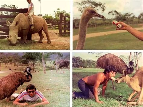 “mi Arca De Noé” La Increíble Historia Del Zoo De Pablo Escobar Y Cómo