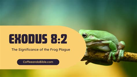 The Significance Of The Frog Plague Exodus 82 Coffee And A Bible