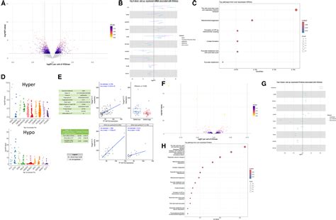 Molecular Landscape Of Sex And Modality Specific Exercise Adaptation