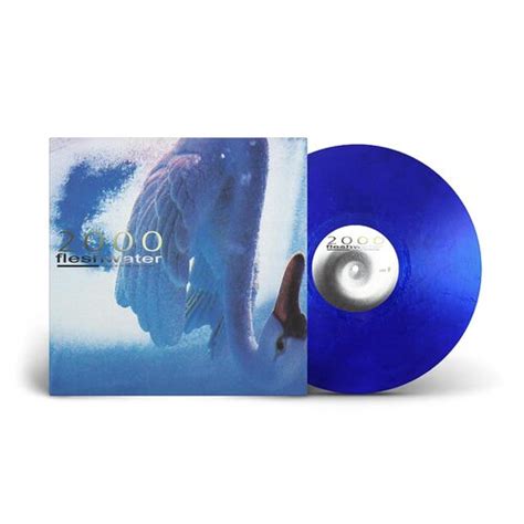 Fleshwater 2000 In Search Of The Endless Sky Upcoming Vinyl