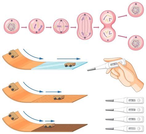 Effective Low Sperm Count Treatments For Men 9m Fertility