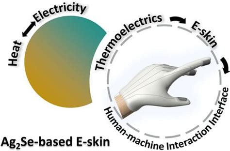 柔性 Ag2se 热电薄膜实现电子皮肤的多功能热感知 Acs Applied Materials And Interfaces X Mol