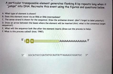 Solved A Particular Transposable Element Generates Flanking 8 Bp
