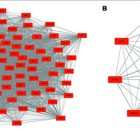 Mcode Cluster And Crucial Genes A Subnetwork Of The Most