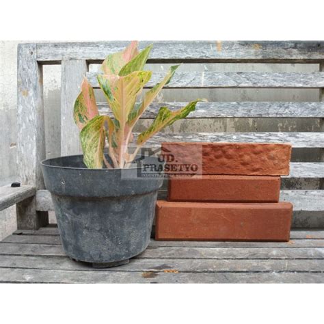 Jual Bata Tempel Bata Expose Bata Tempel Jogja Shopee Indonesia