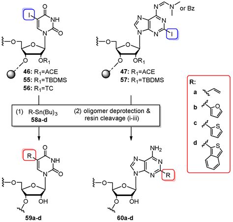 Synthesis Of Nucleobase Modified Rna Oligonucleotides By Post Synthetic Approach