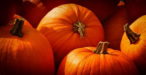 Як зберігати гарбузи взимку Агрохiм