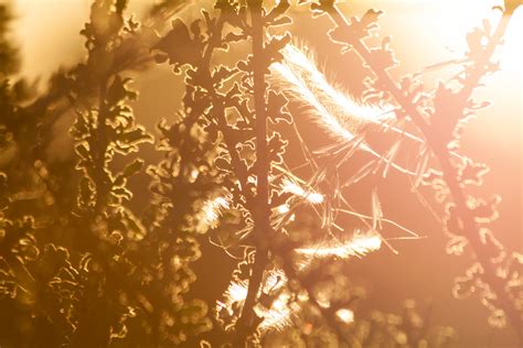 Img 6989 Rian Botha Flickr