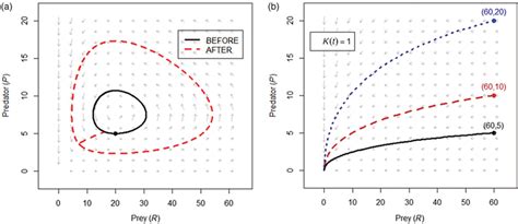 prey predator dynamics a phase plane and trajectory of population